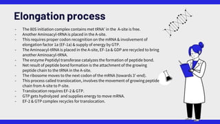 Biomol-Translation Eukaryote.pptx