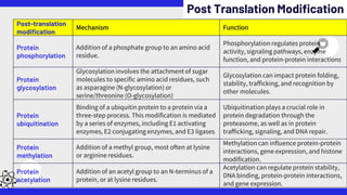 Biomol-Translation Eukaryote.pptx