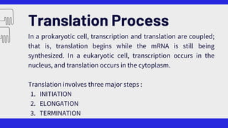 Biomol-Translation Eukaryote.pptx