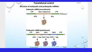 Biomol-Translation Eukaryote.pptx