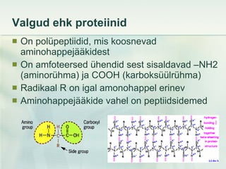 Biomolekulid - süsivesikud, lipiidid, valgud ja nukleiinhapped, nende ...