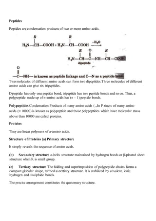 Biomolecules - Class XII notes | DOCX