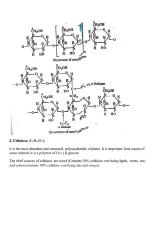 Biomolecules - Class XII notes | DOCX