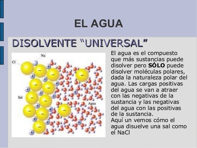 Por Que El Agua Es Un Solvente Universal - abstractor
