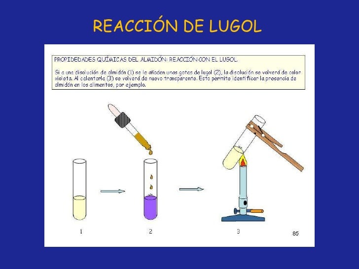 Biomoléculas glúcidos 02