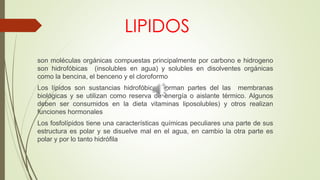 Biomoléculas orgánicas | PDF