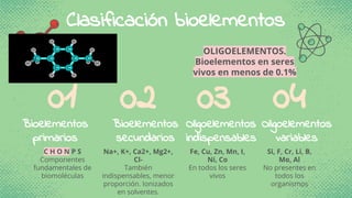 Biomoléculas y bioelementos.pdf