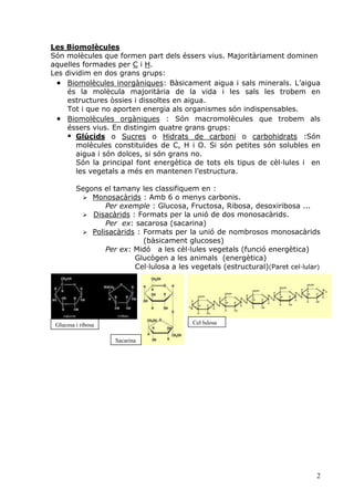 Biomolècules | DOCX