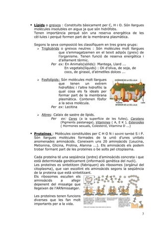 Biomolècules | DOCX