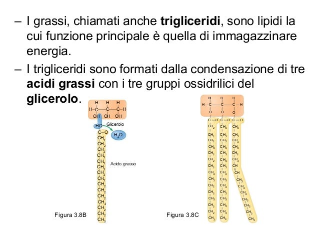 Biomolecole