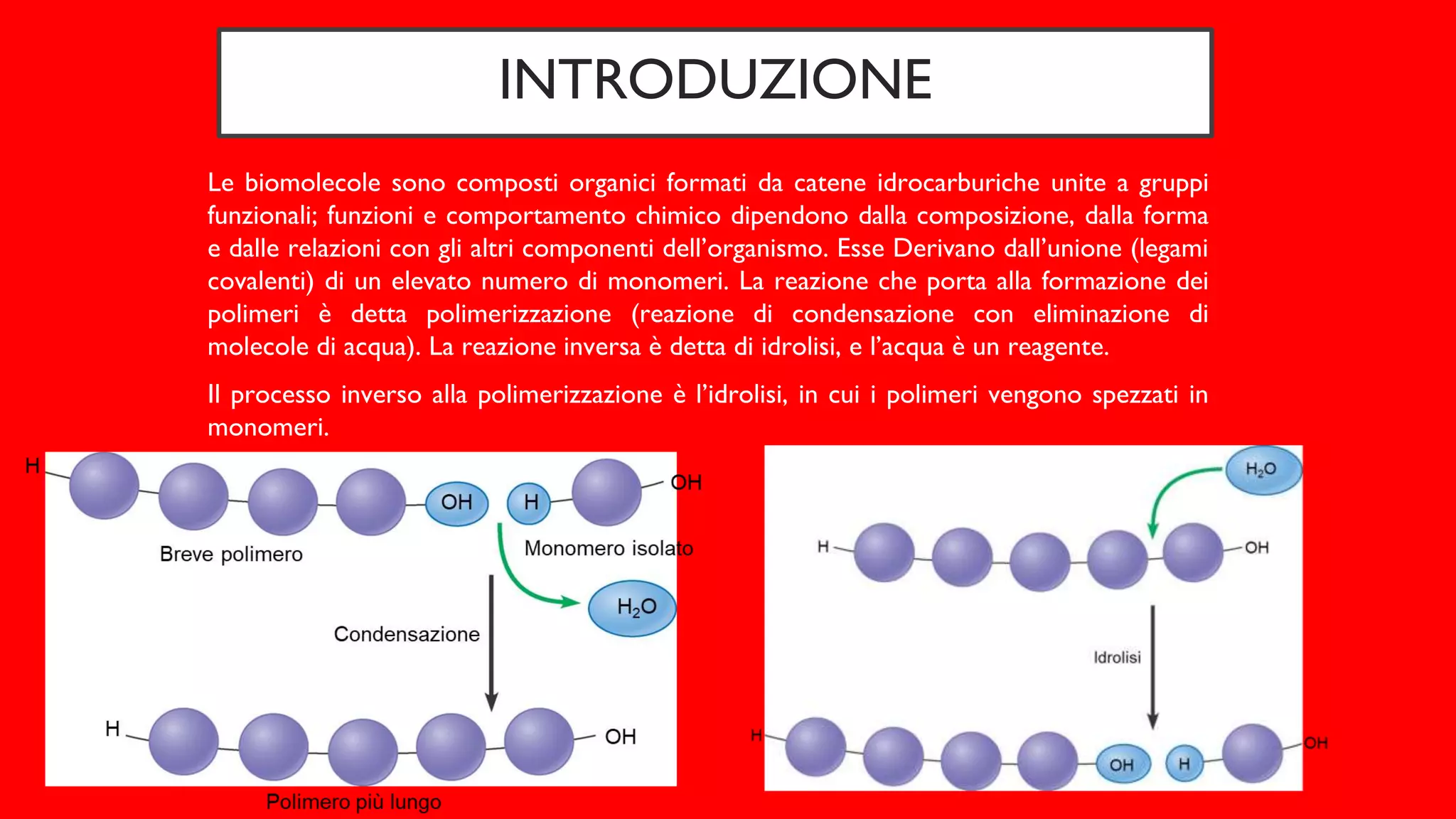 Biomolecole | PPTX