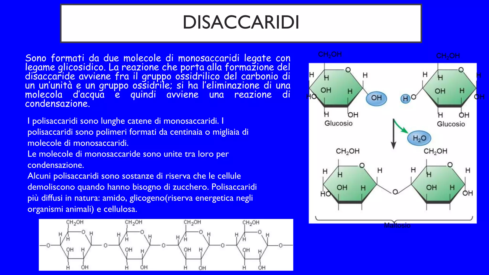 Biomolecole | PPTX