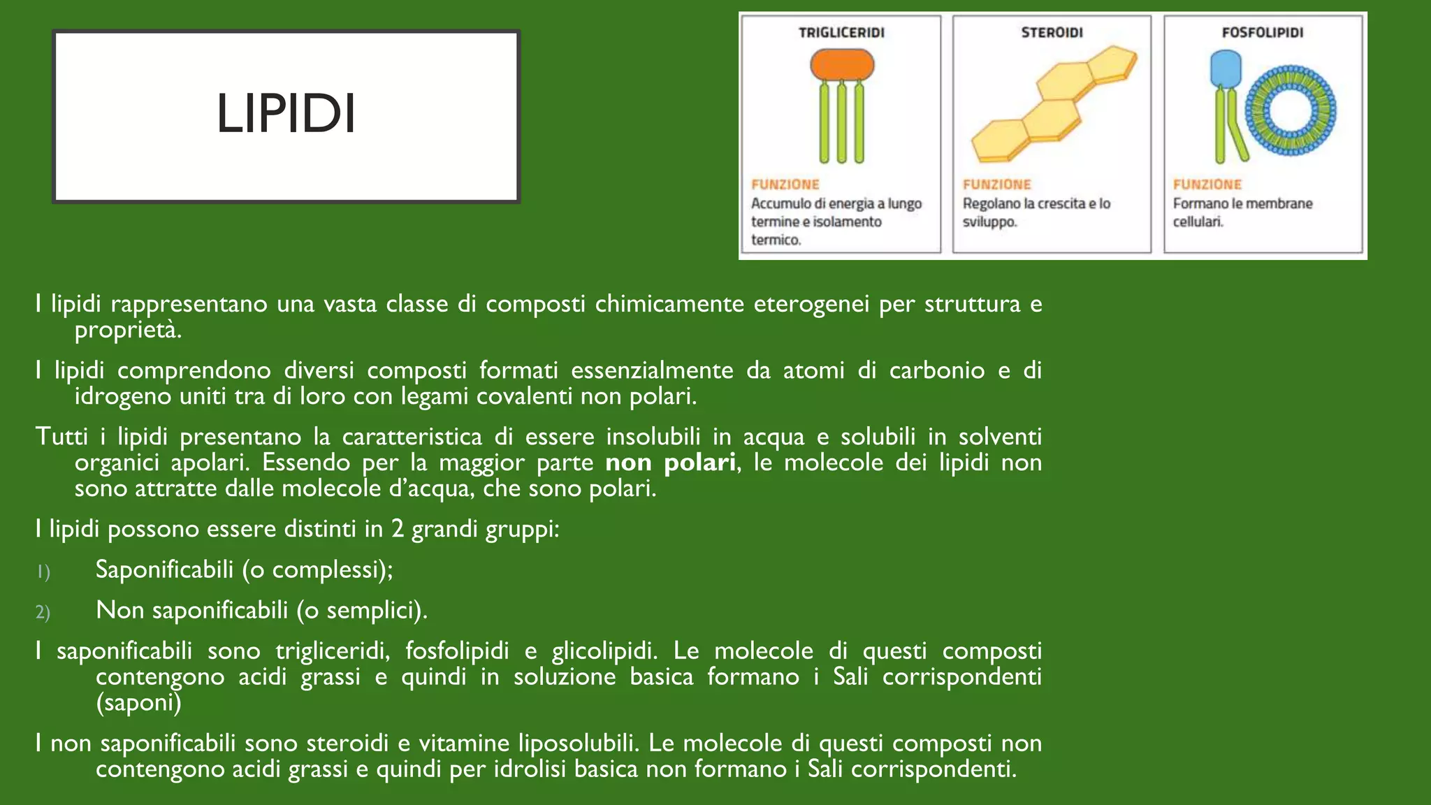 Biomolecole | PPTX