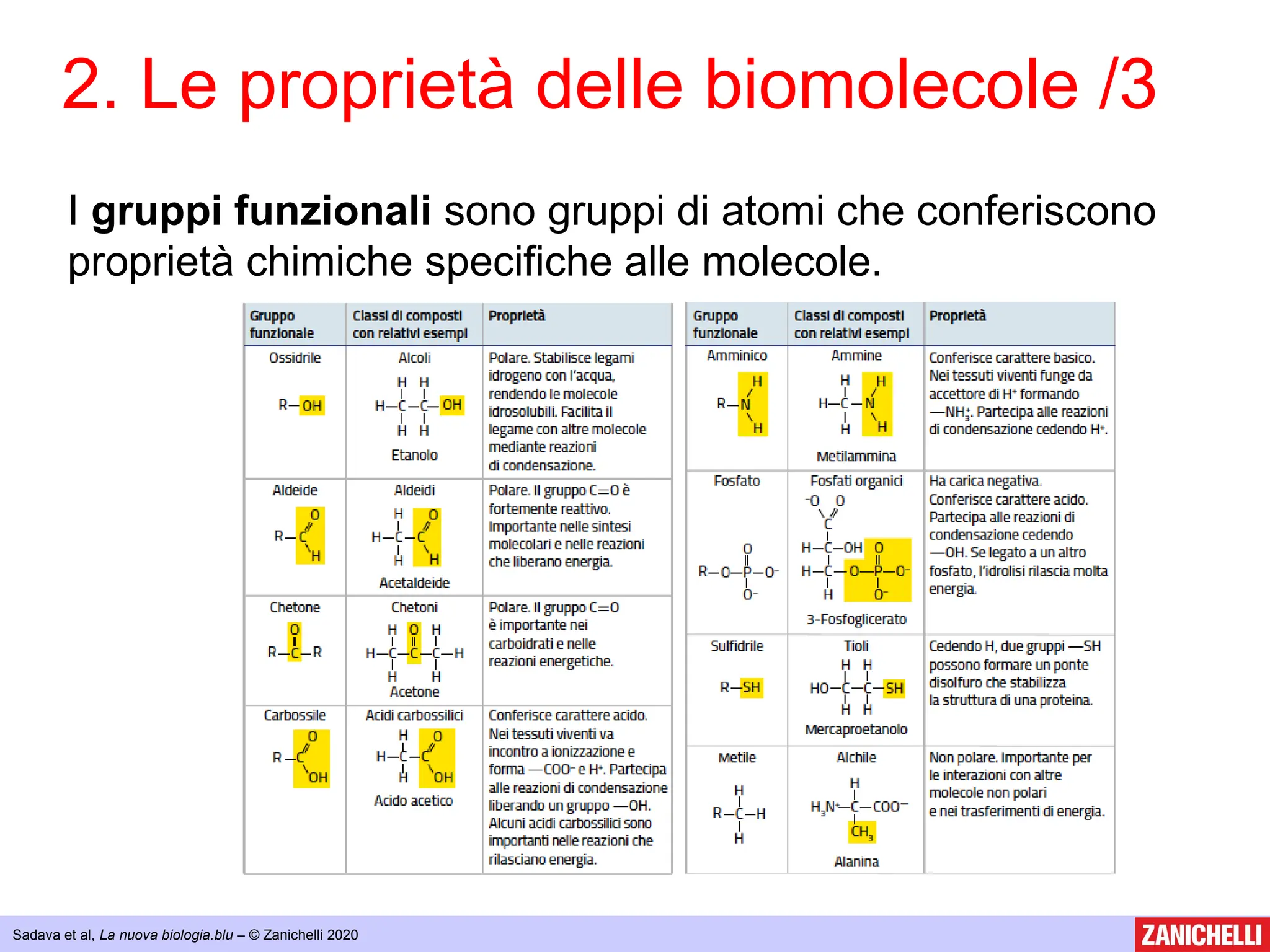 BIOMOLECOLE - PARTE PRIMA approfondimento sulle molecole organiche | PPT