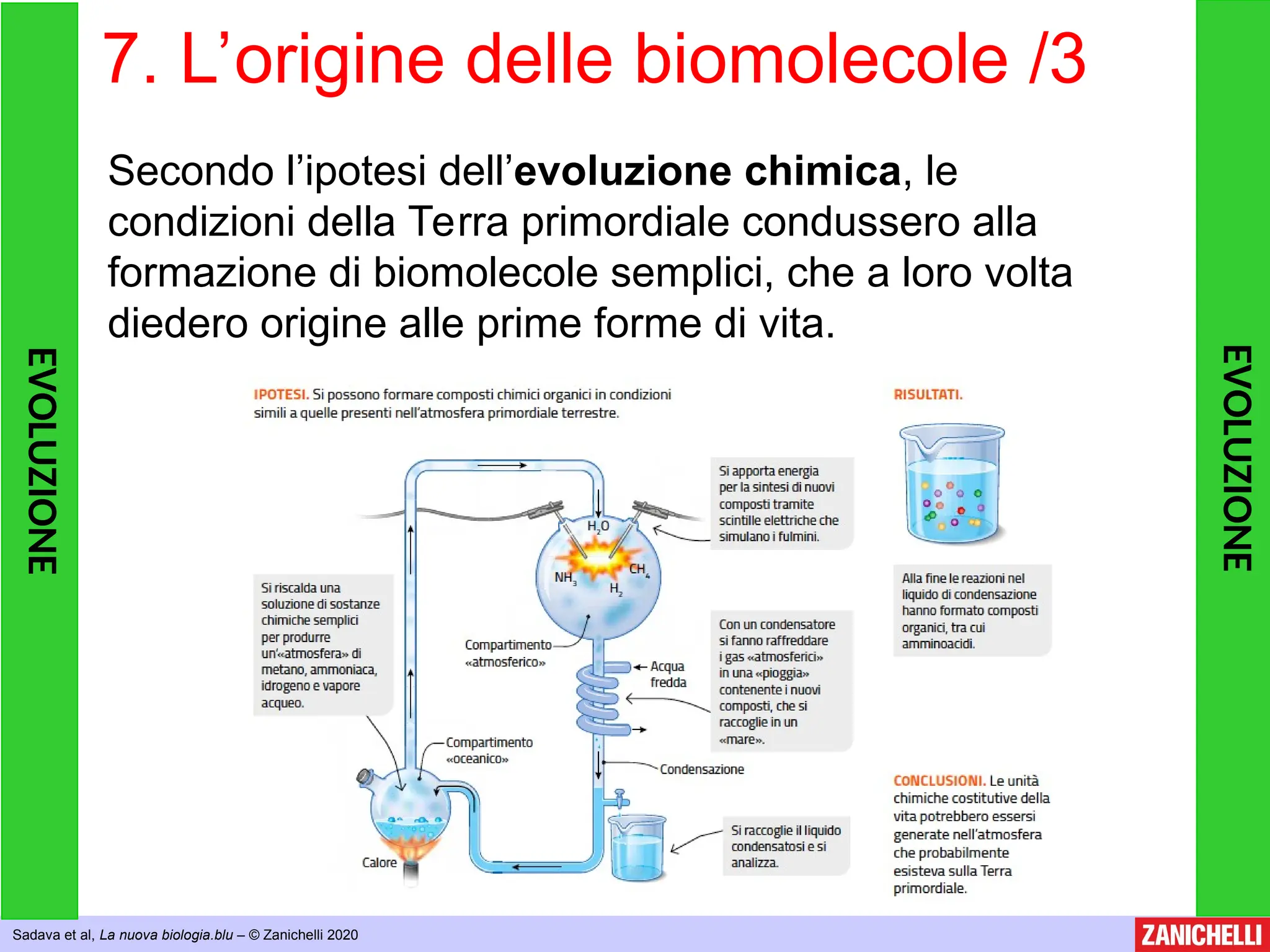 BIOMOLECOLE - PARTE PRIMA approfondimento sulle molecole organiche | PPT