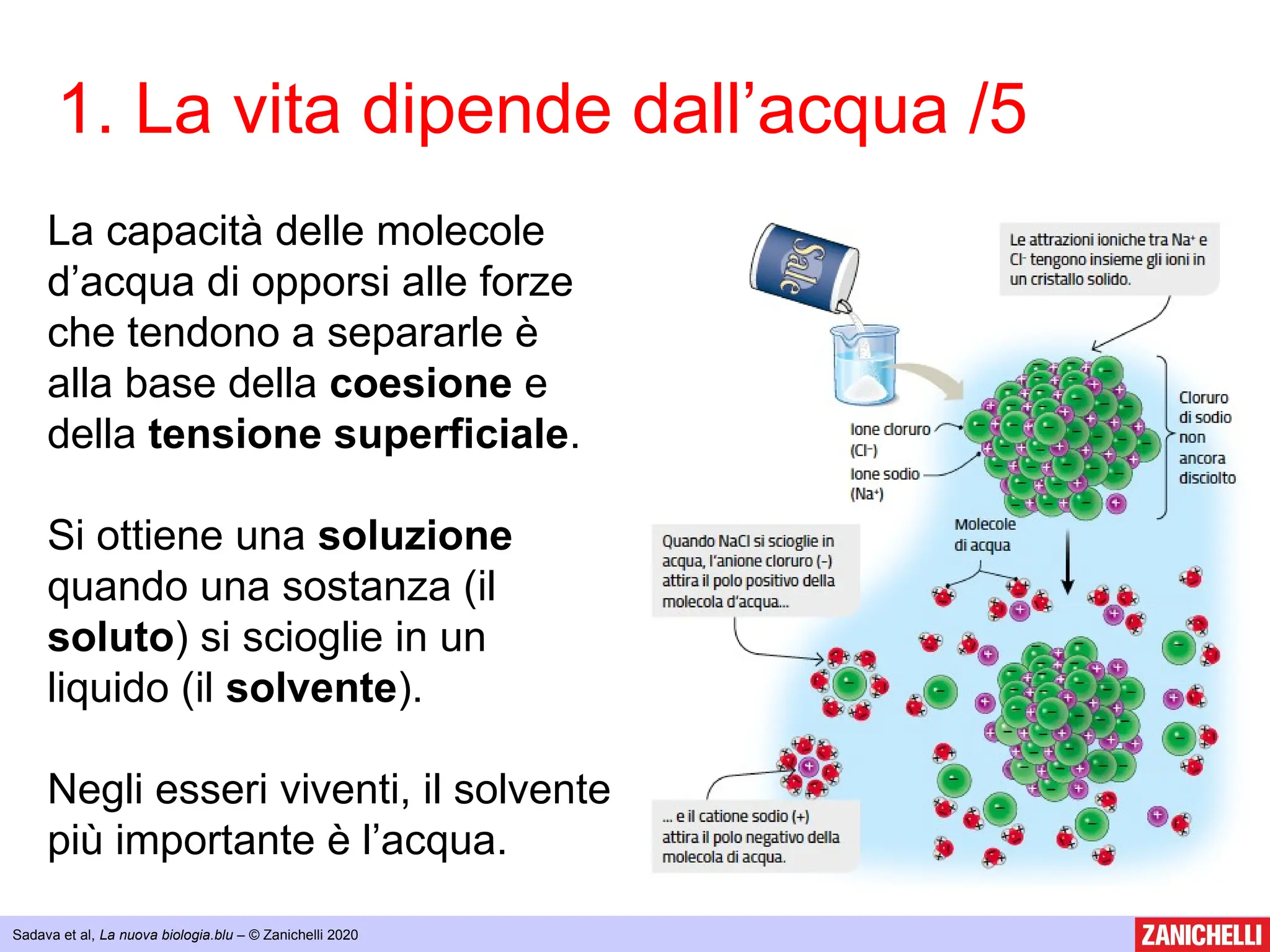BIOMOLECOLE - PARTE PRIMA approfondimento sulle molecole organiche | PPT
