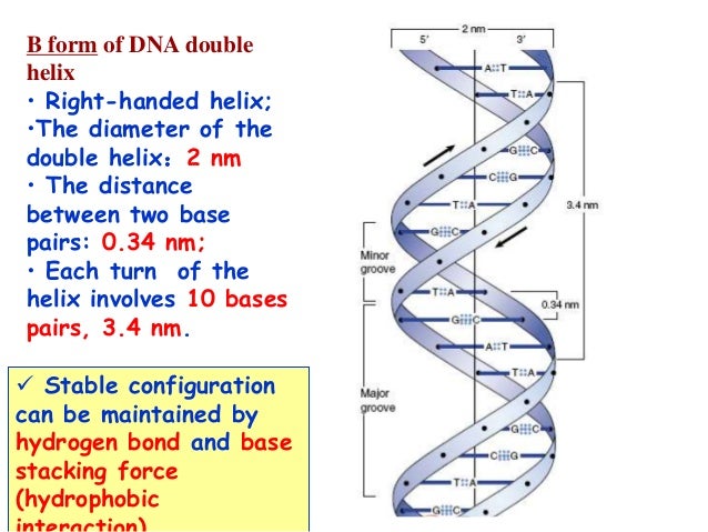 Biomolecular pharmacy