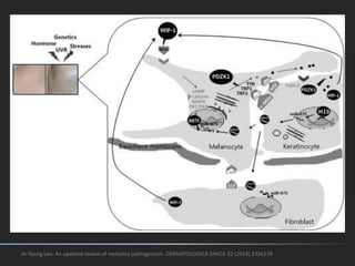 Biomolecular aspects of hyperpigmentation disorders | PPT