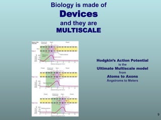 Bio-Molecular Engineering is the Future of Molecular Biology | PPT
