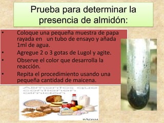 Biomoleculas | PPTX