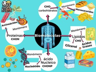 Biomoleculas.pdf