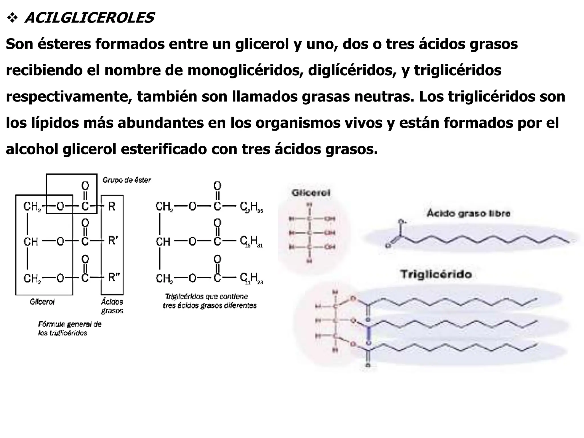 BIOMOLECULAS biologia presentaciones ... | PPTX