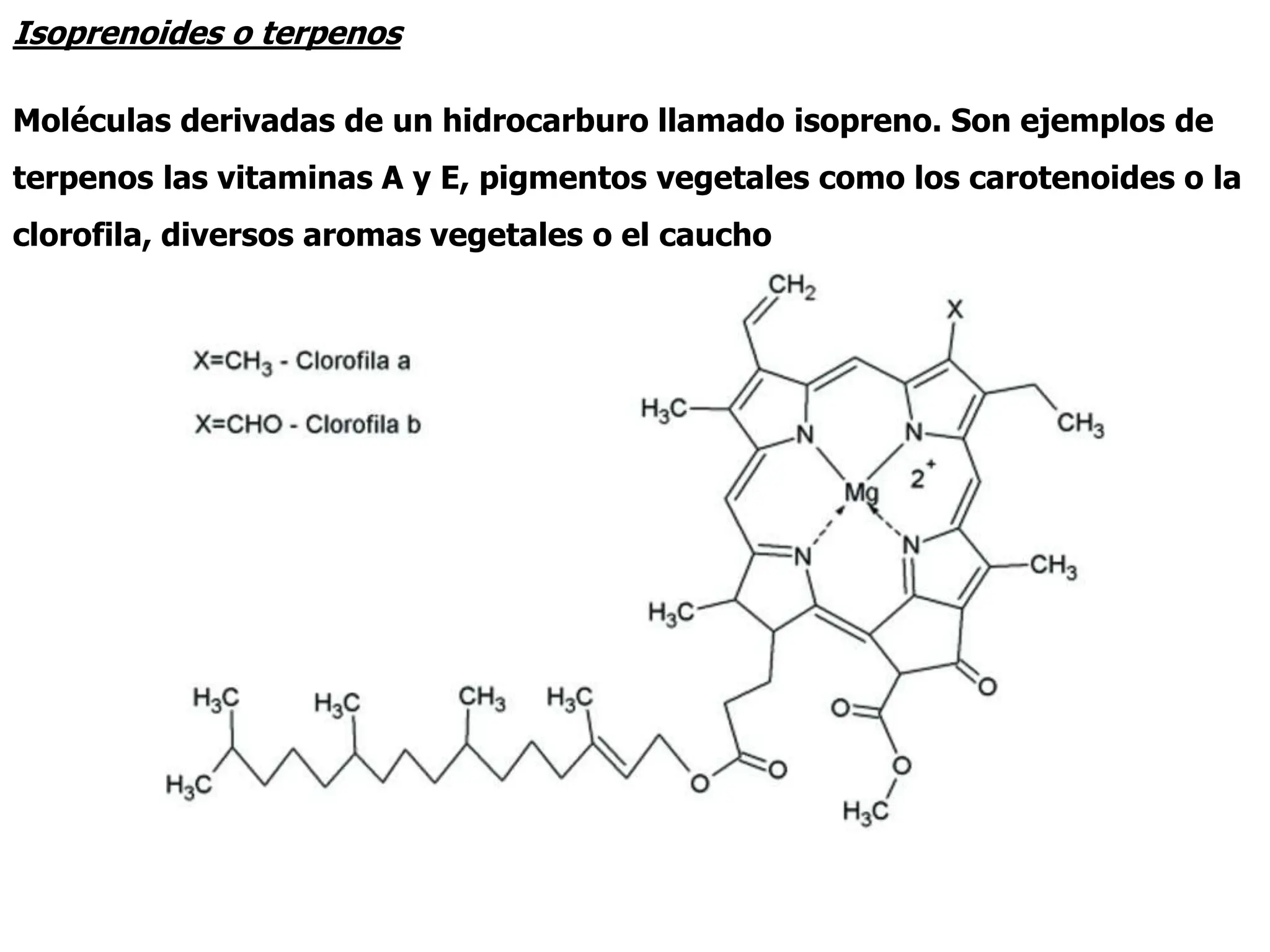 BIOMOLECULAS biologia presentaciones ... | PPTX