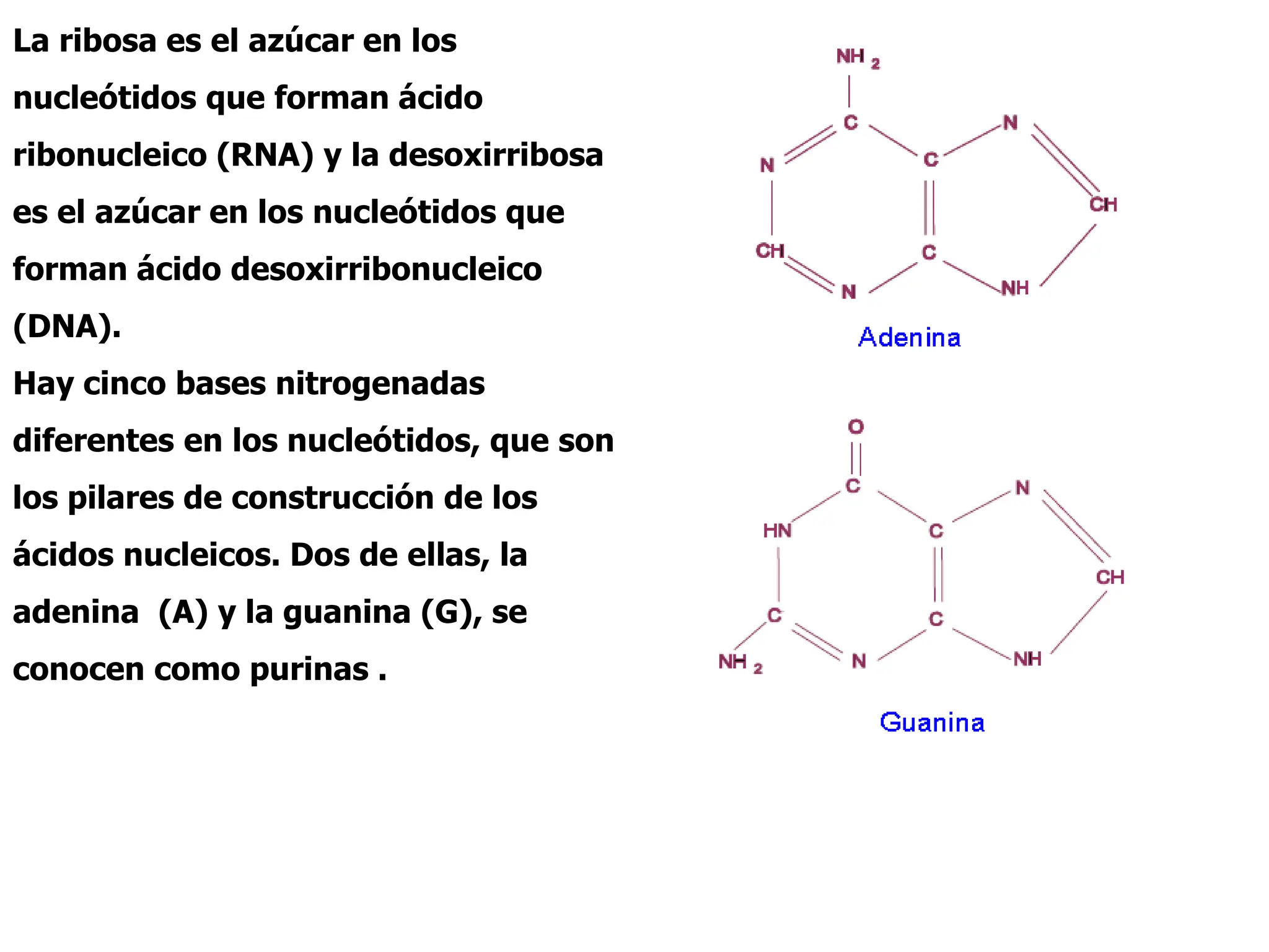 BIOMOLECULAS biologia presentaciones ... | PPTX