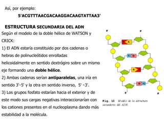 BIOMOLECULAS biologia presentaciones ... | PPTX