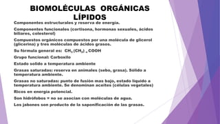 Biomoleculas organicas.-carbohidratos-lipidos | PPTX