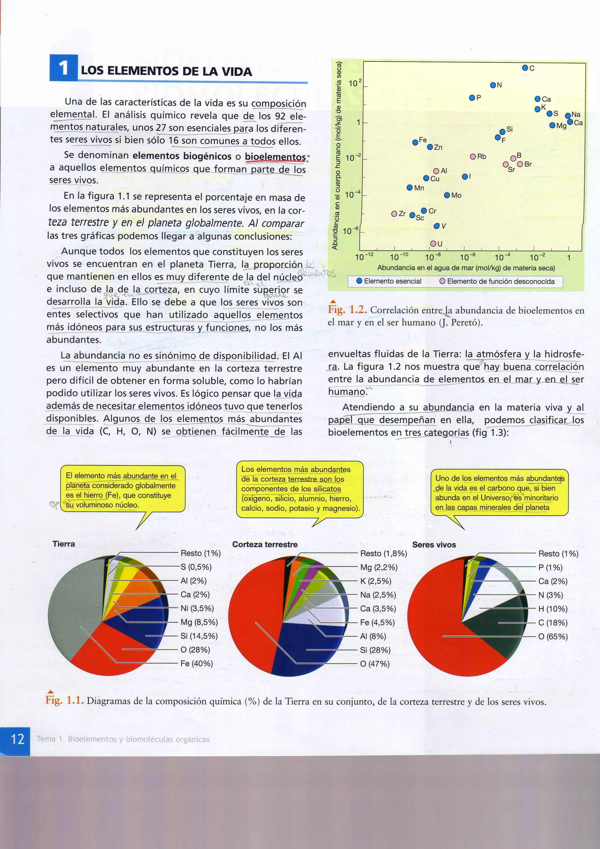 Biomoleculas ecir | PDF