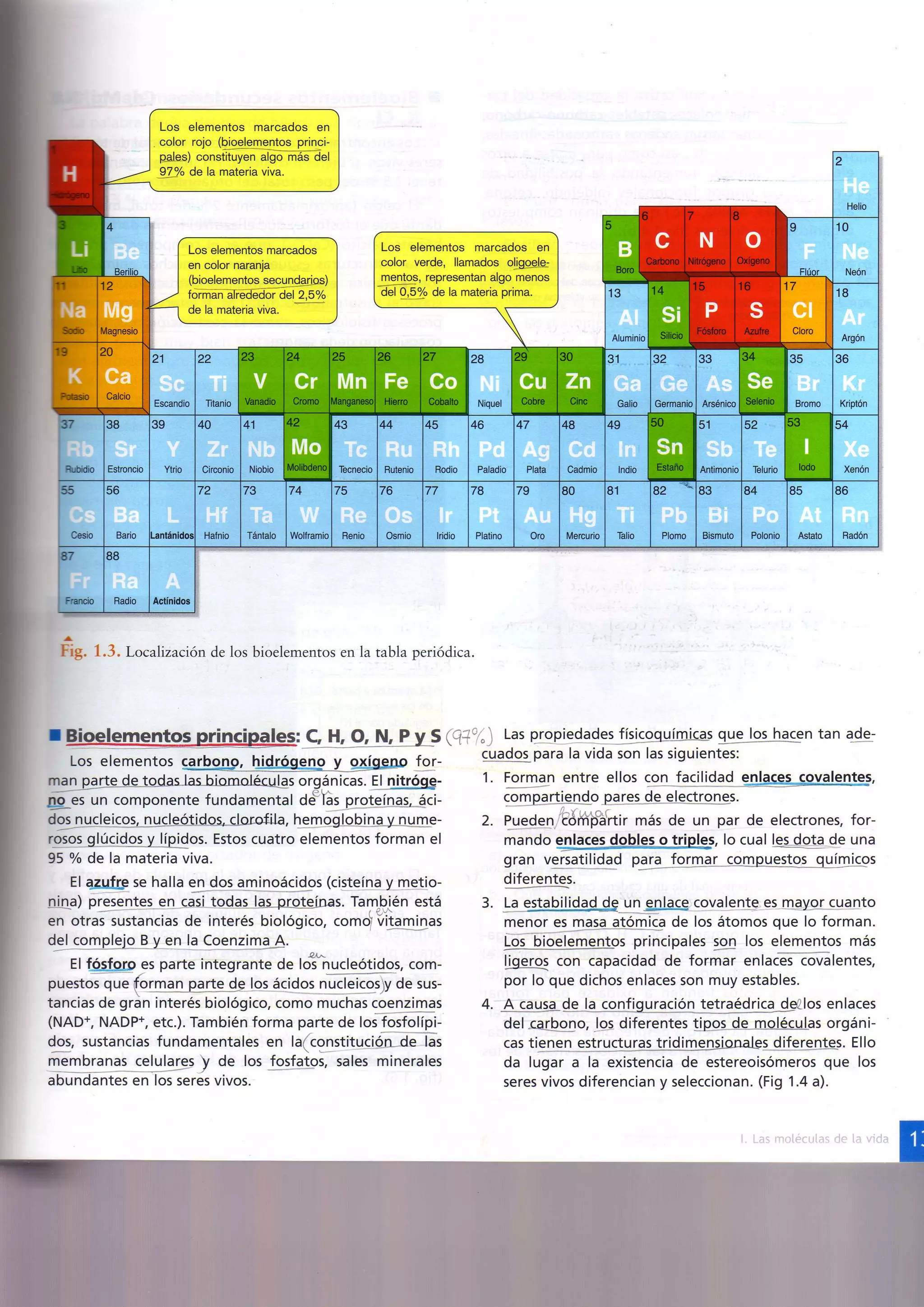 Biomoleculas ecir | PDF