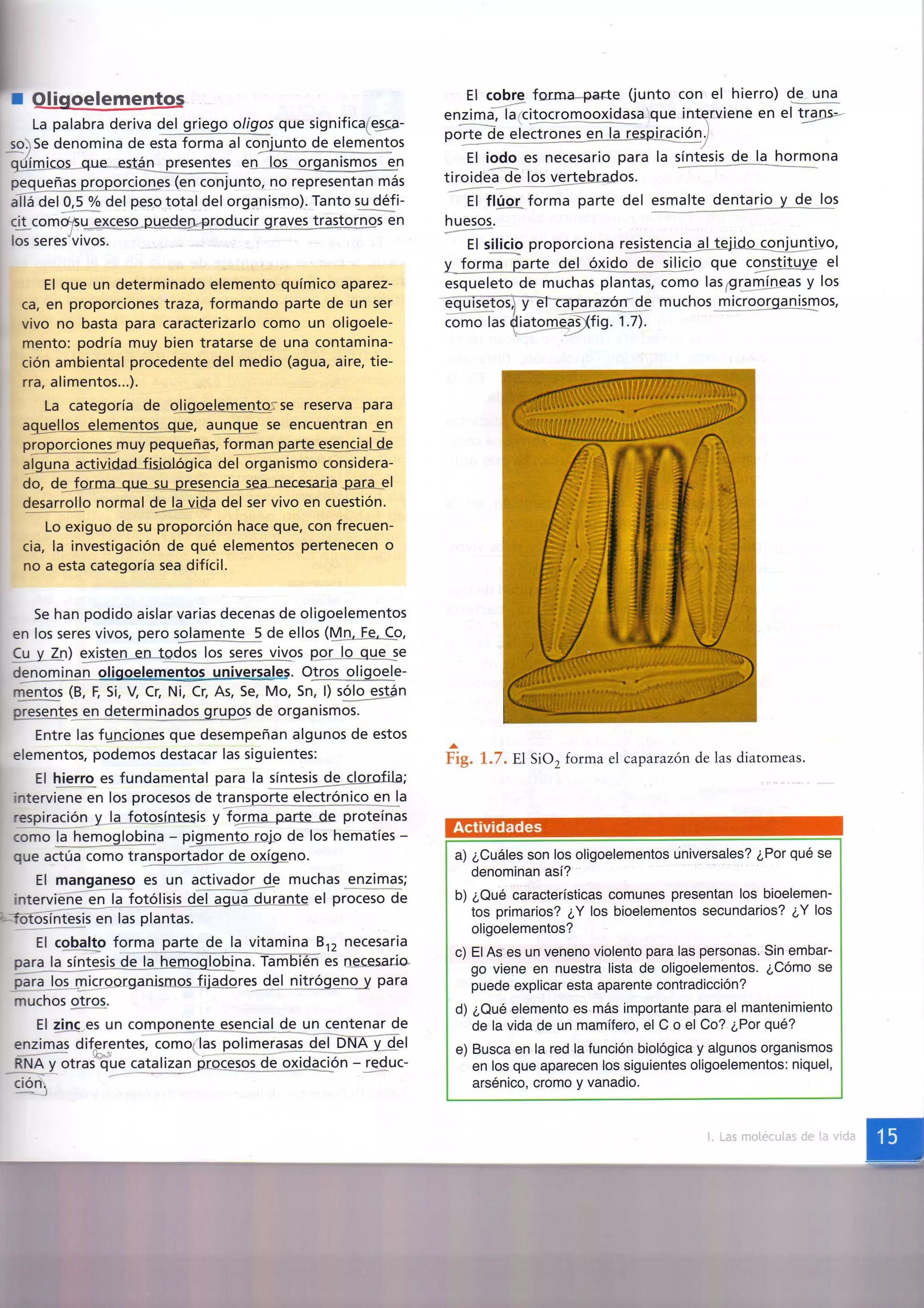 Biomoleculas ecir | PDF