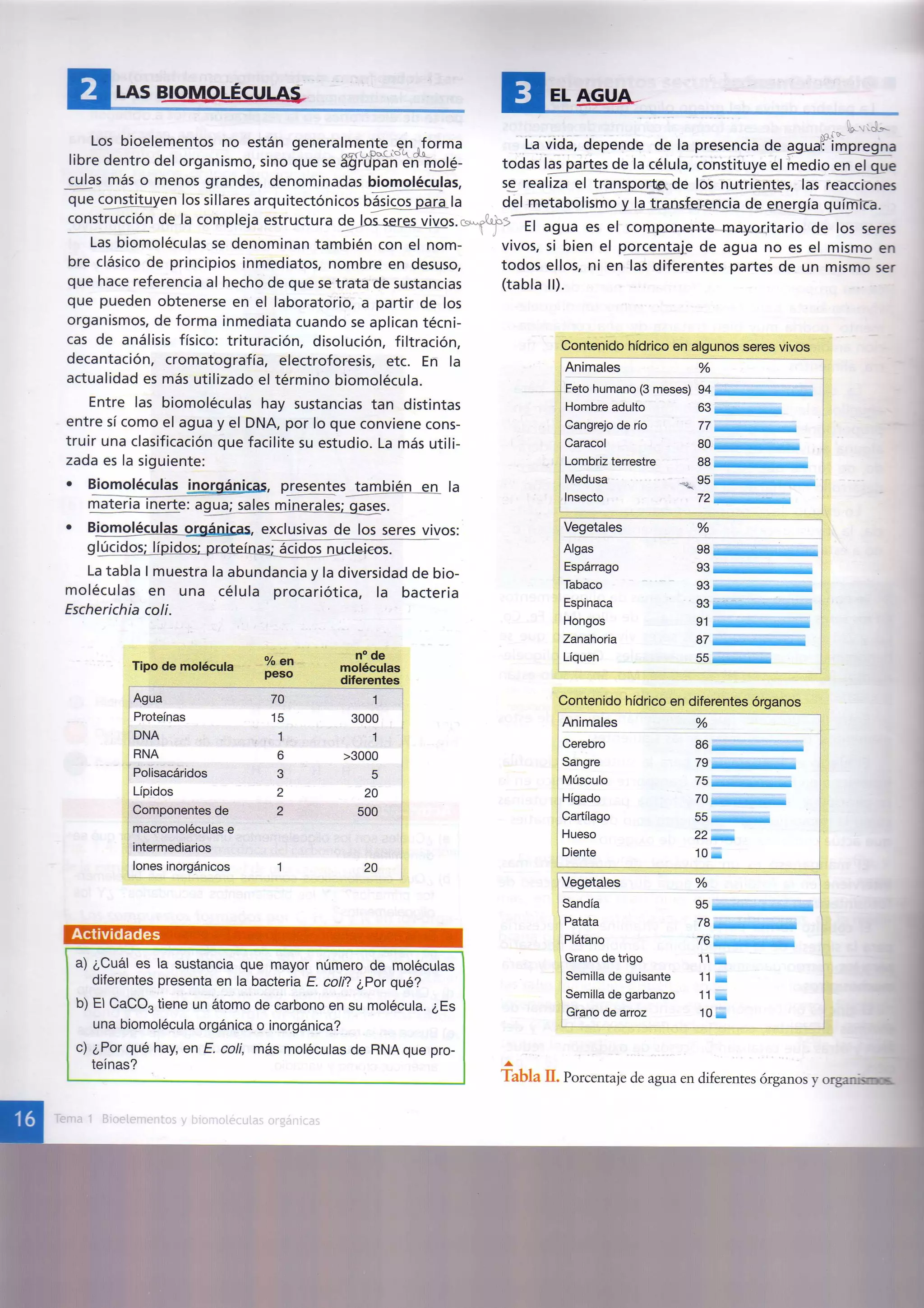 Biomoleculas ecir | PDF