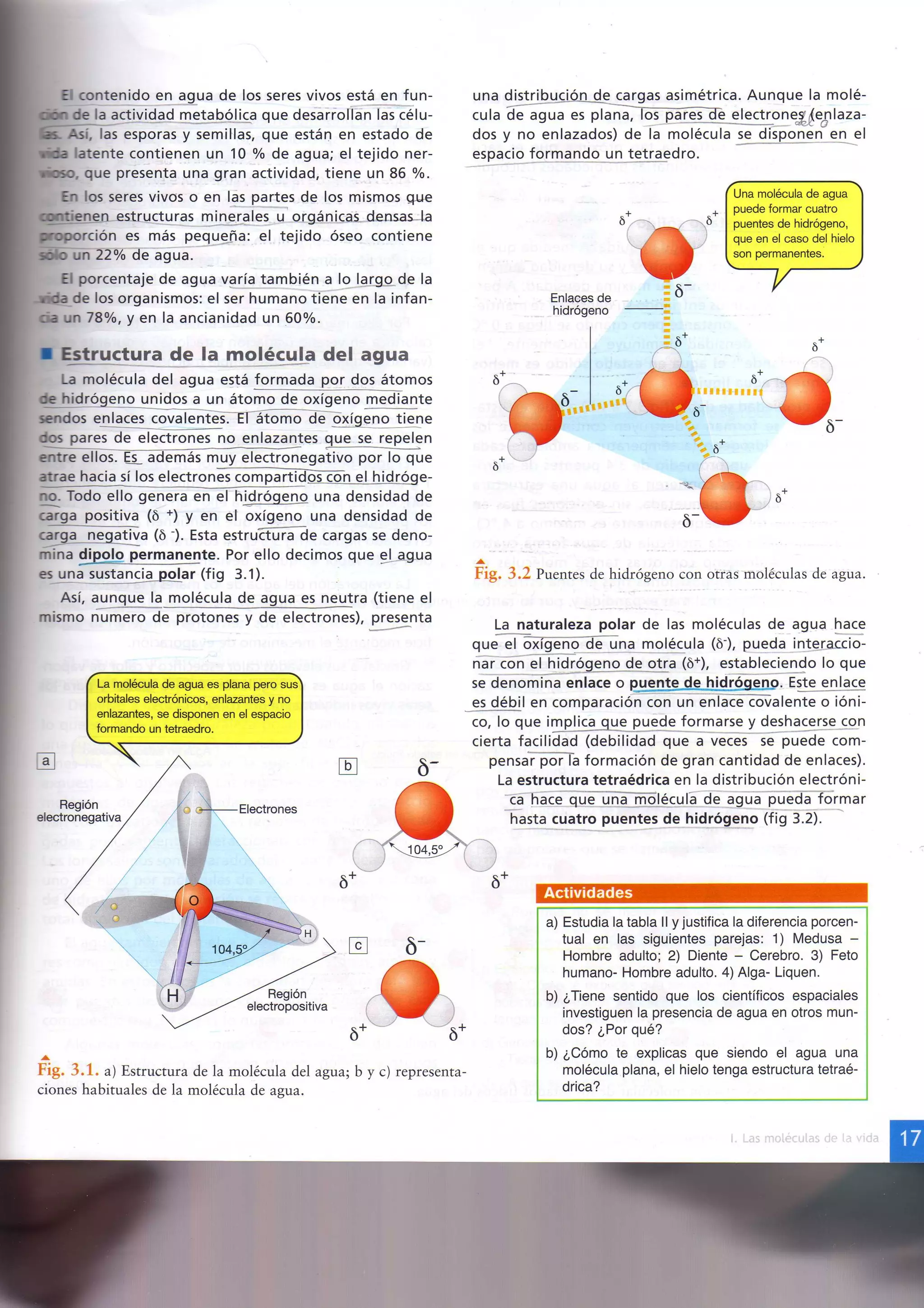 Biomoleculas ecir | PDF