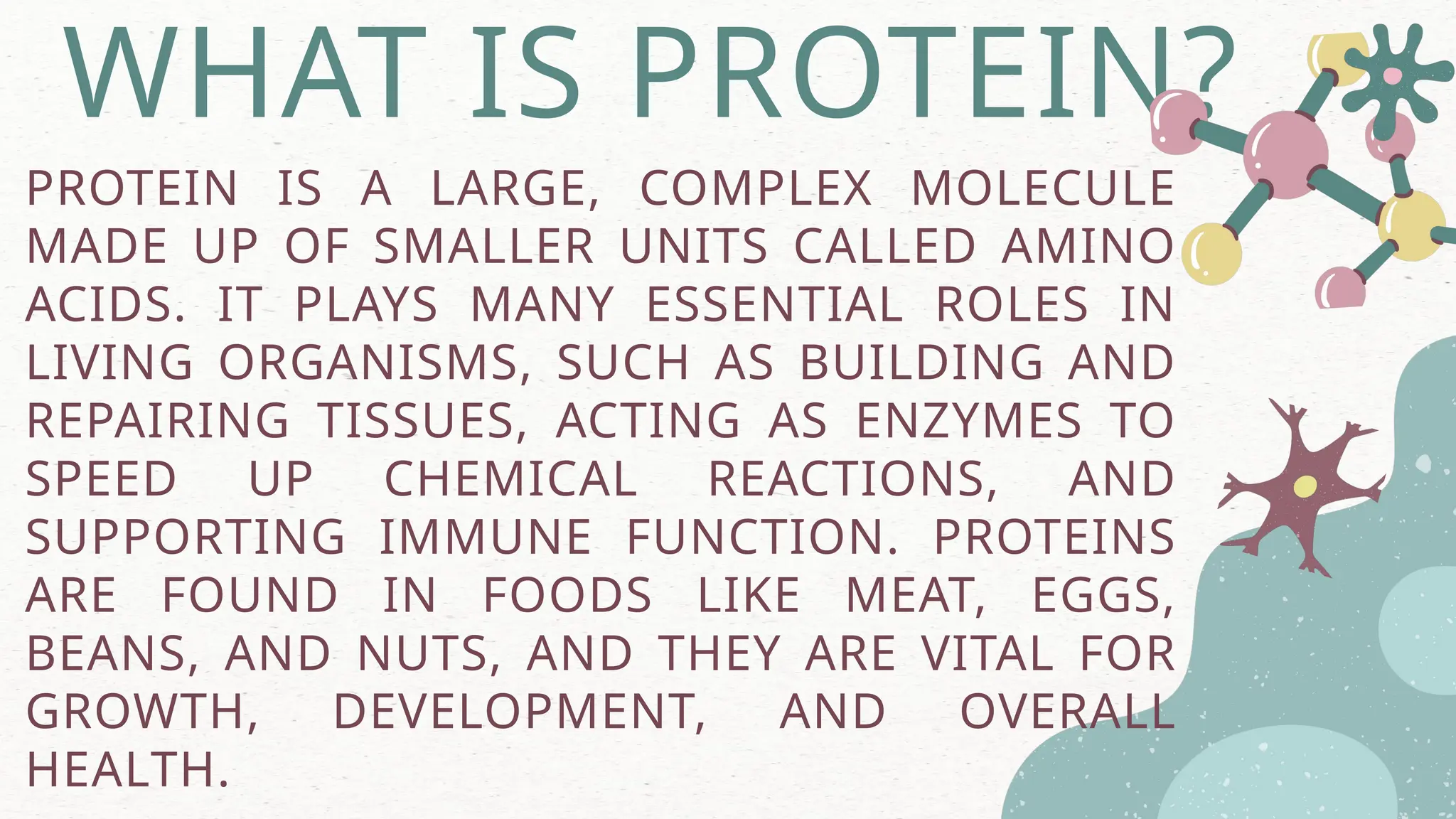 biomolecule6 protein, DNA and Enzymes.pptx