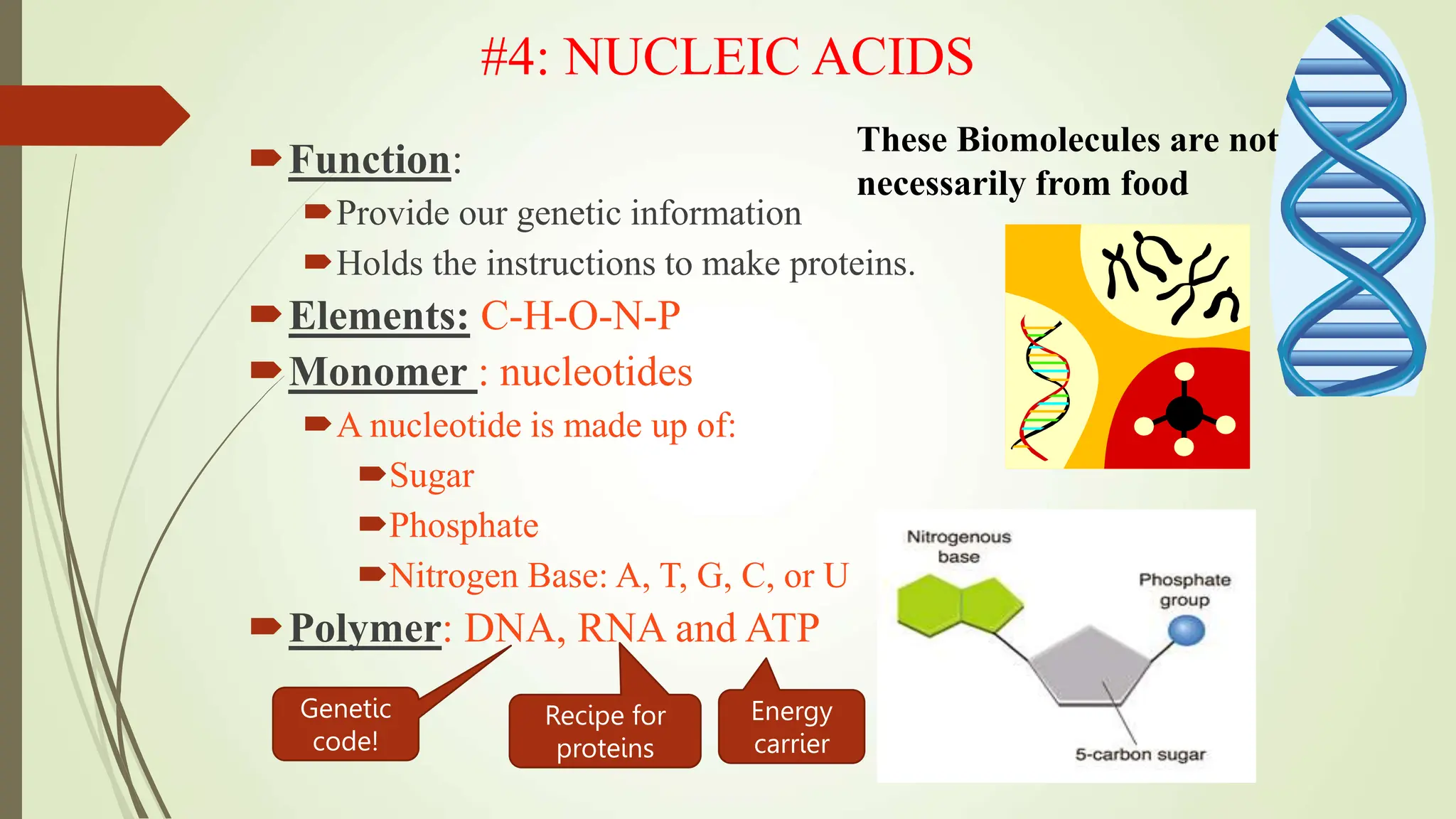 PPT Presentation Biomolecule PPT for Submission.ppt