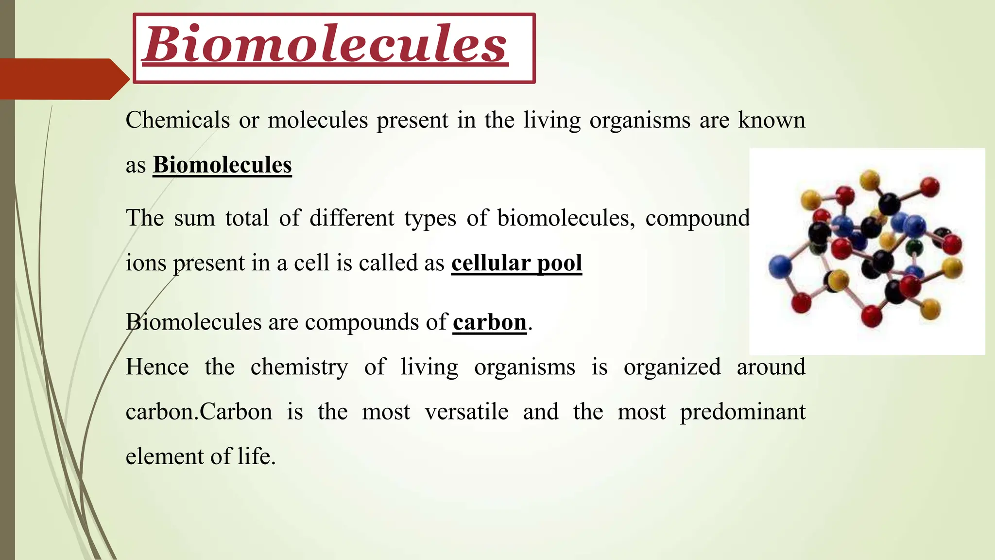 PPT Presentation Biomolecule PPT for Submission.ppt