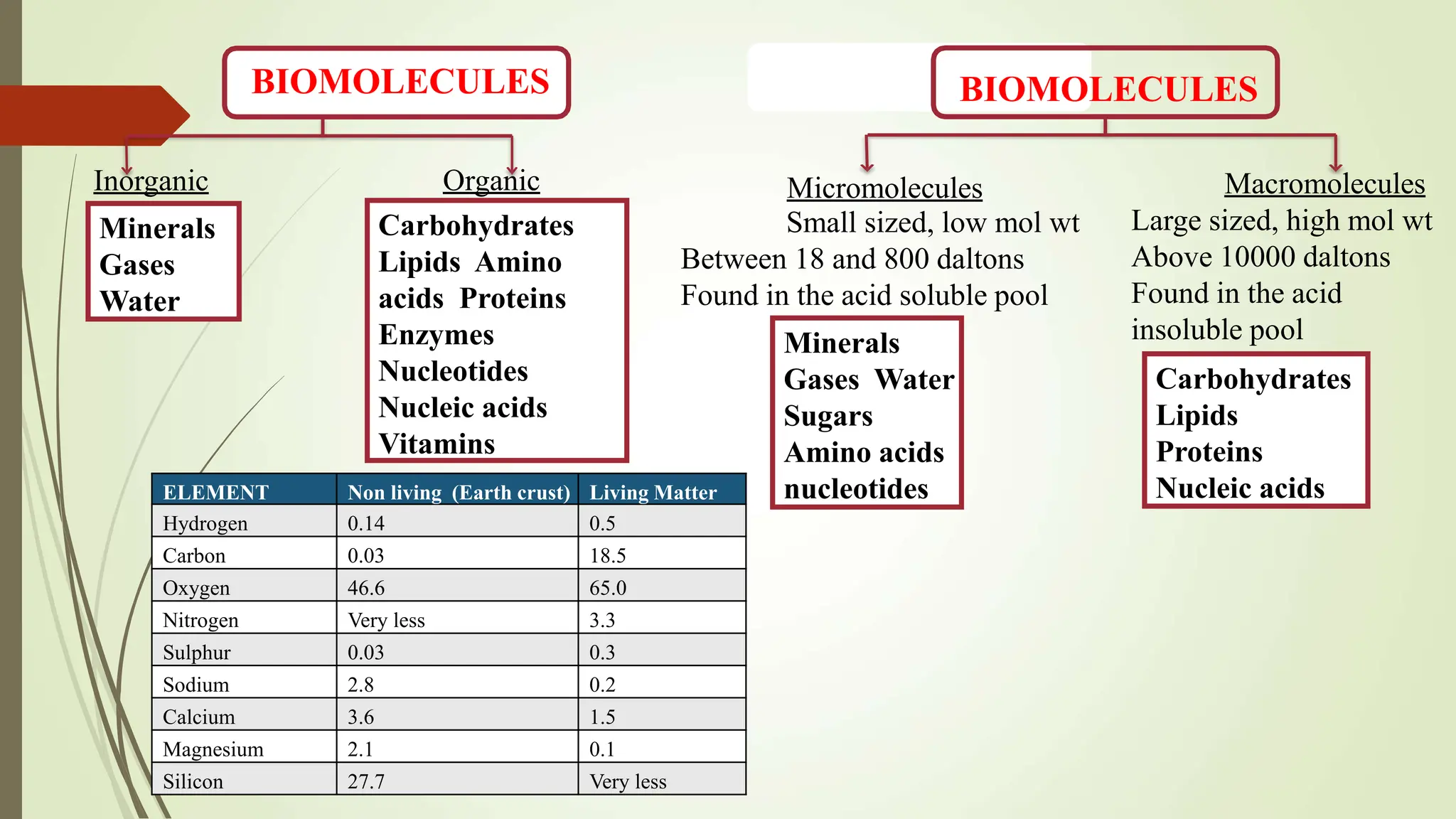 PPT Presentation Biomolecule PPT for Submission.ppt
