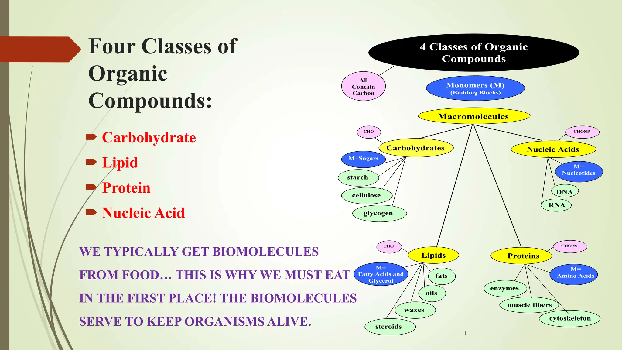PPT Presentation Biomolecule PPT for Submission.ppt