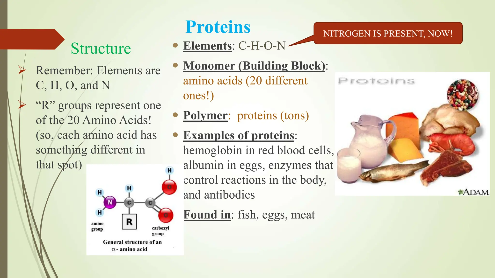 PPT Presentation Biomolecule PPT for Submission.ppt