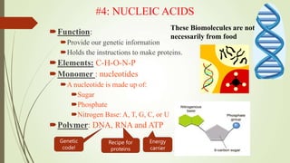 PPT Presentation Biomolecule PPT for Submission.ppt