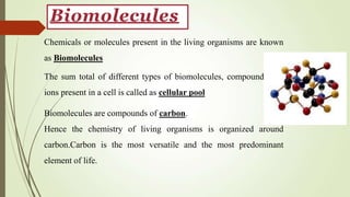 PPT Presentation Biomolecule PPT for Submission.ppt