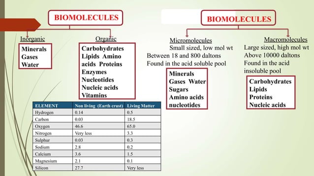 PPT Presentation Biomolecule PPT for Submission.ppt