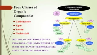 PPT Presentation Biomolecule PPT for Submission.ppt
