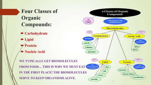 PPT Presentation Biomolecule PPT for Submission.ppt