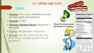 PPT Presentation Biomolecule PPT for Submission.ppt