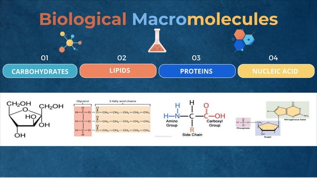 SHS BIOLOGICAL MACROMOLECULE PPT SHS.pdf