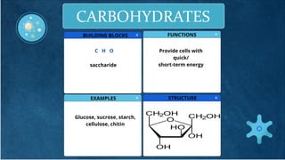 SHS BIOLOGICAL MACROMOLECULE PPT SHS.pdf | Chemistry | Science