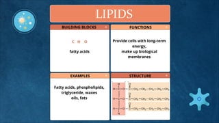 SHS BIOLOGICAL MACROMOLECULE PPT SHS.pdf | Chemistry | Science